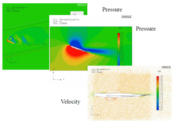 第16回 “海のダイヤ”クロマグロの生態を流体解析で明らかにする：あの「近大マグロ」にも流体解析 - MONOist