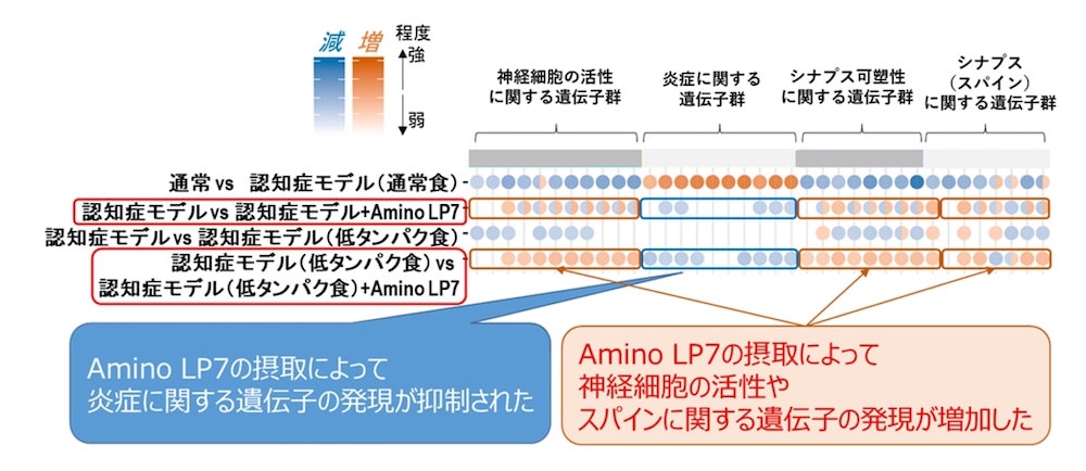 7種のアミノ酸が脳機能を維持、改善して認知症の進行を抑える：医療技術ニュース - MONOist