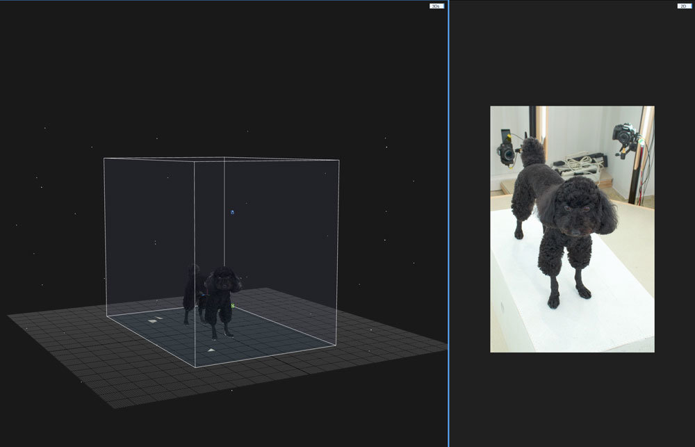 3Dフォトスキャンによる精巧なペットフィギュア作成サービスを開始：3Dスキャナーニュース - MONOist
