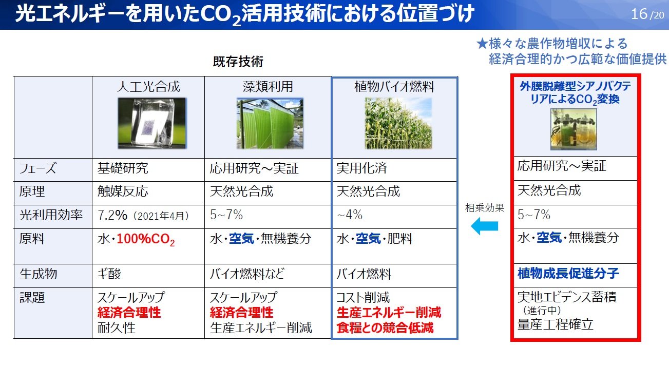 ホウレンソウの収穫量を1.4倍とする植物成長促進分子を開発、CO2で育つ仕組みとは：脱炭素（2/2 ページ） - MONOist