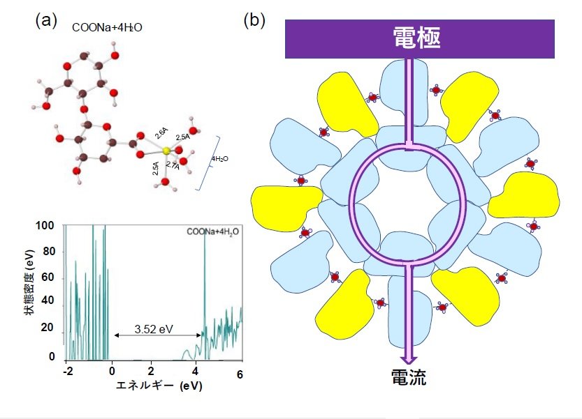 東北大が150℃まで蓄電可能なCNFの特性に結合水が関係することを発見：研究開発の最前線 - MONOist